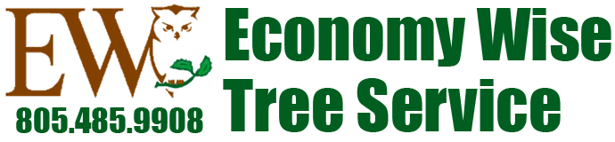 Tree Service in Ventura County - Economy Wise Tree Service
